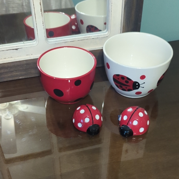 Boston Warehouse | Dining | Boston Warehouse Ladybug Dinnerware Set Red ...